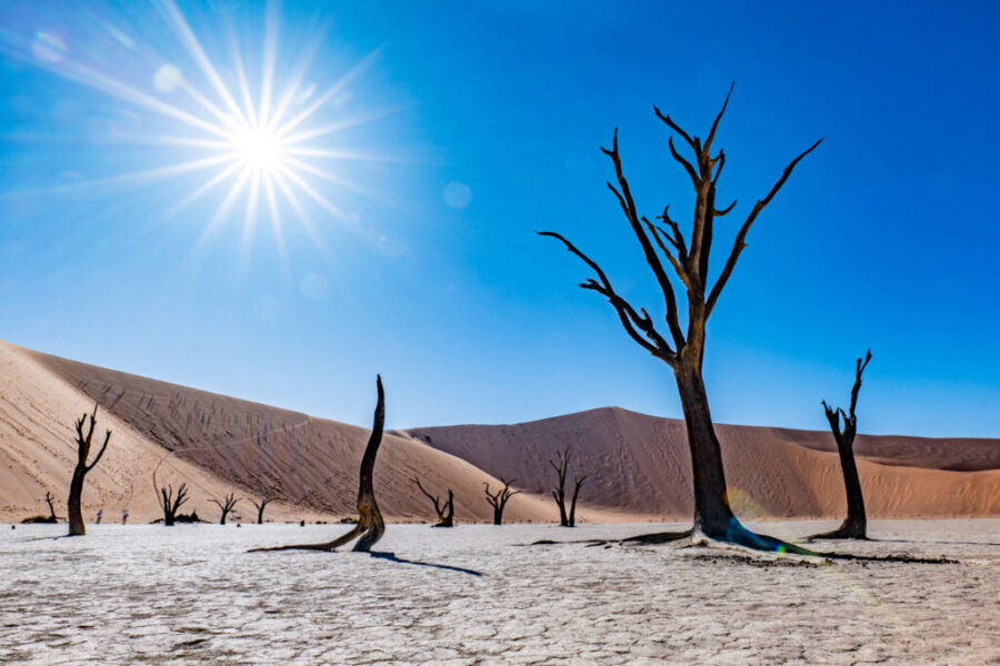 Sossusvlei und Deadvlei – alle Tipps für Namibias Mega-Dünen
