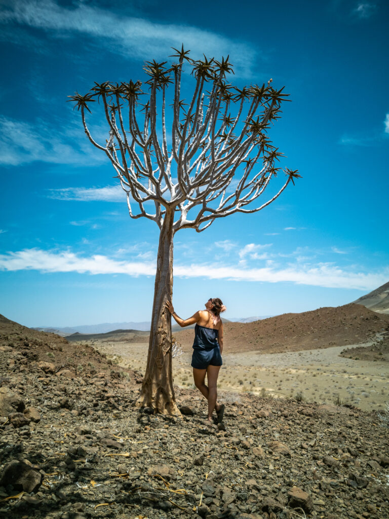 Namibia Rundreise: Sehenswürdigkeiten und Geheimtipps - Die zwei Abenteurer