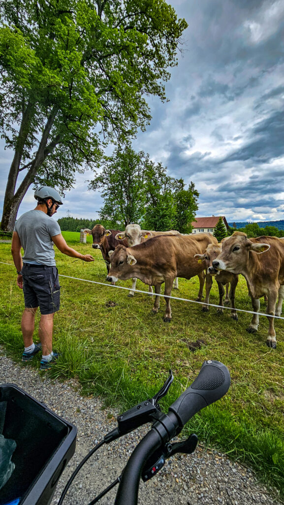 Bodensee-Königssee-Radweg – Alle Etappen, Karte & Tipps